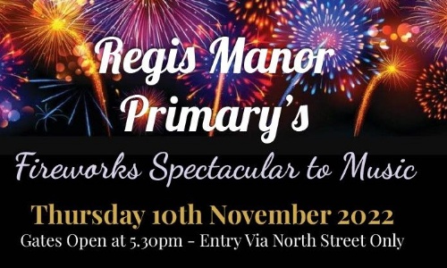 Regis Manor Primary School - Firework Display