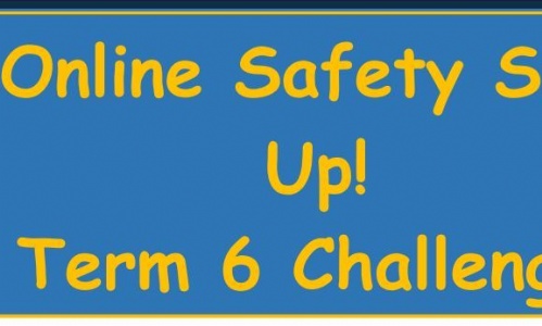 Regis Manor Primary School - National Online Safety